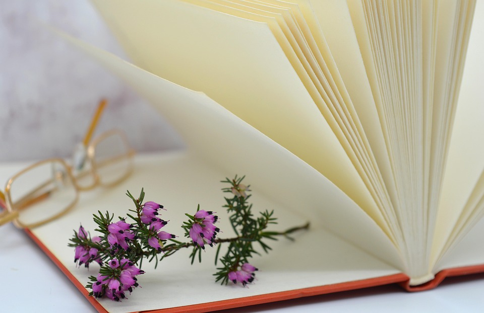 Heather Read Flower - Free photo on Pixabay