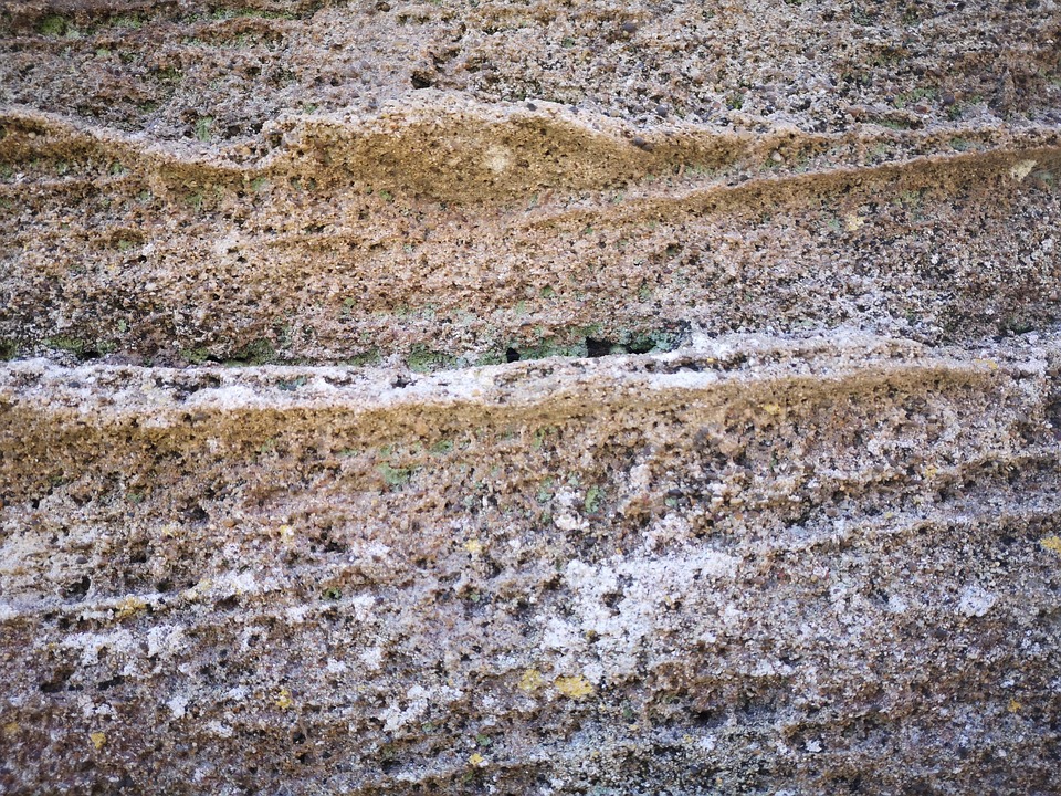 Texture Naturel - Photo gratuite sur Pixabay - Pixabay