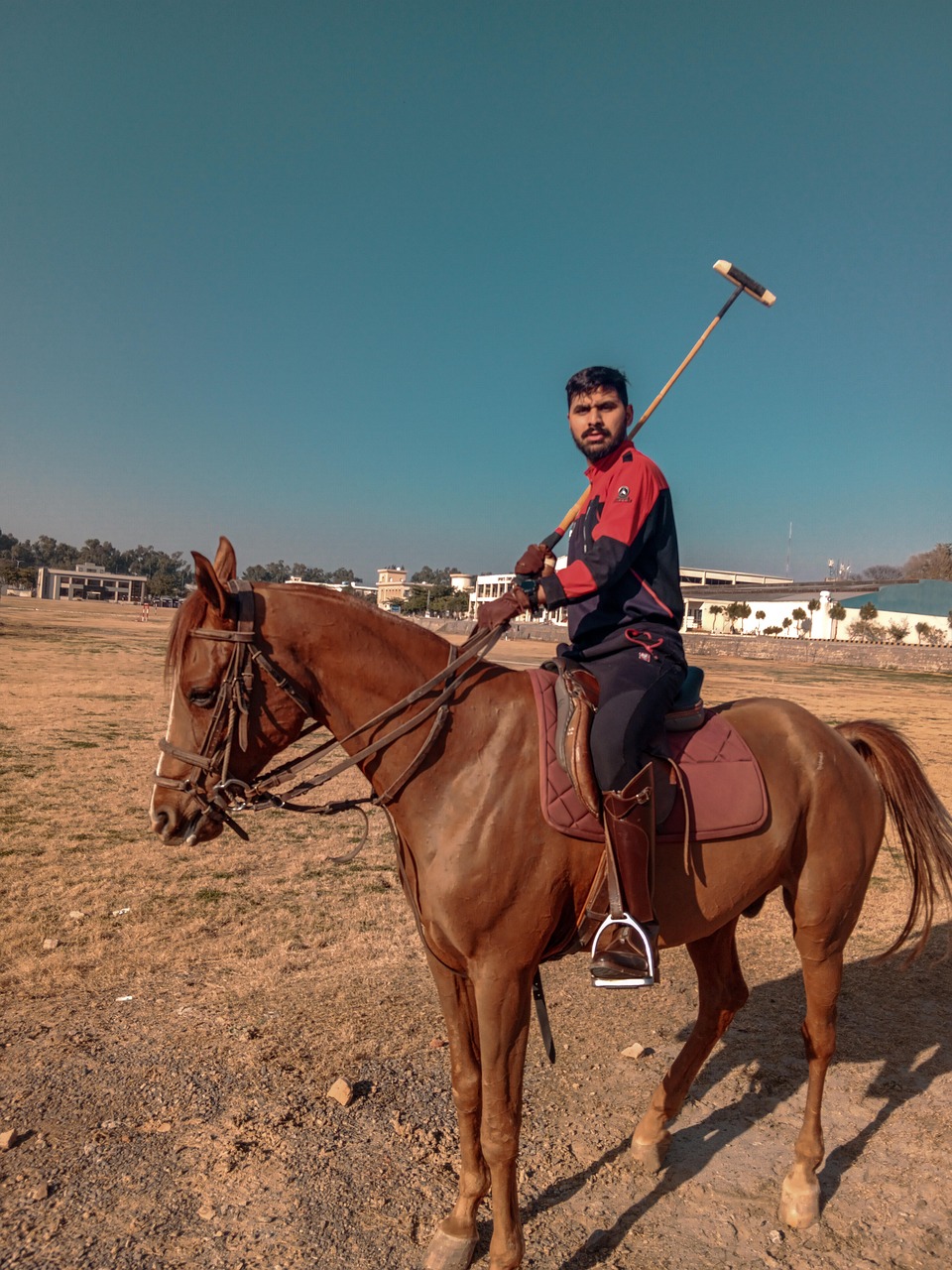 Penunggang Kuda Berkuda Poni Polo - Foto gratis di Pixabay - Pixabay