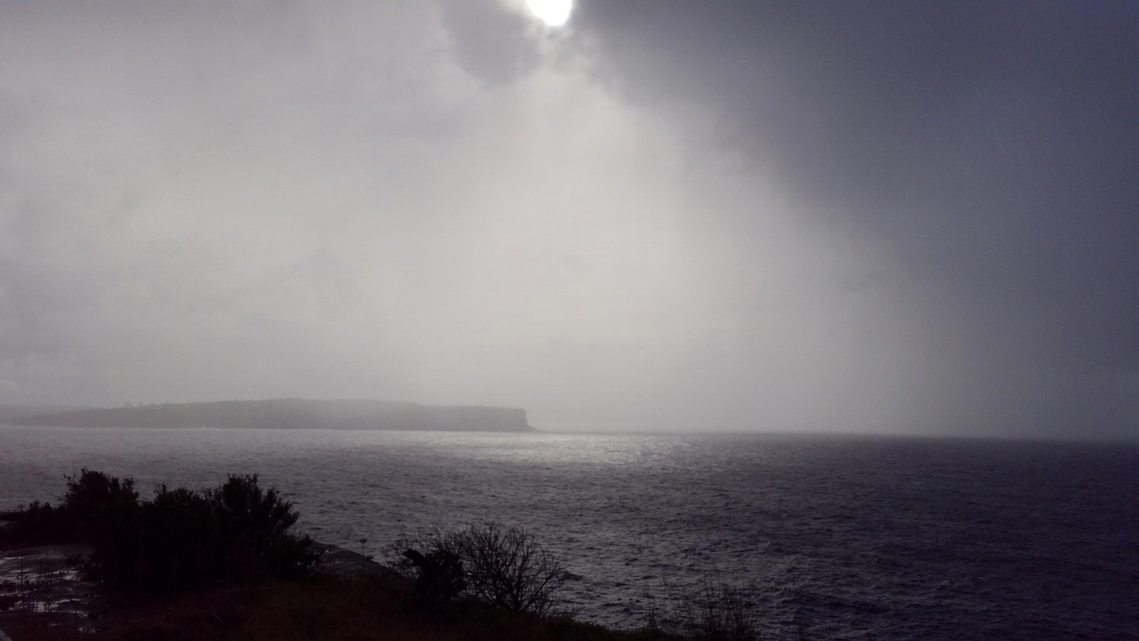 Fog Coast Australia - Free photo on Pixabay - Pixabay