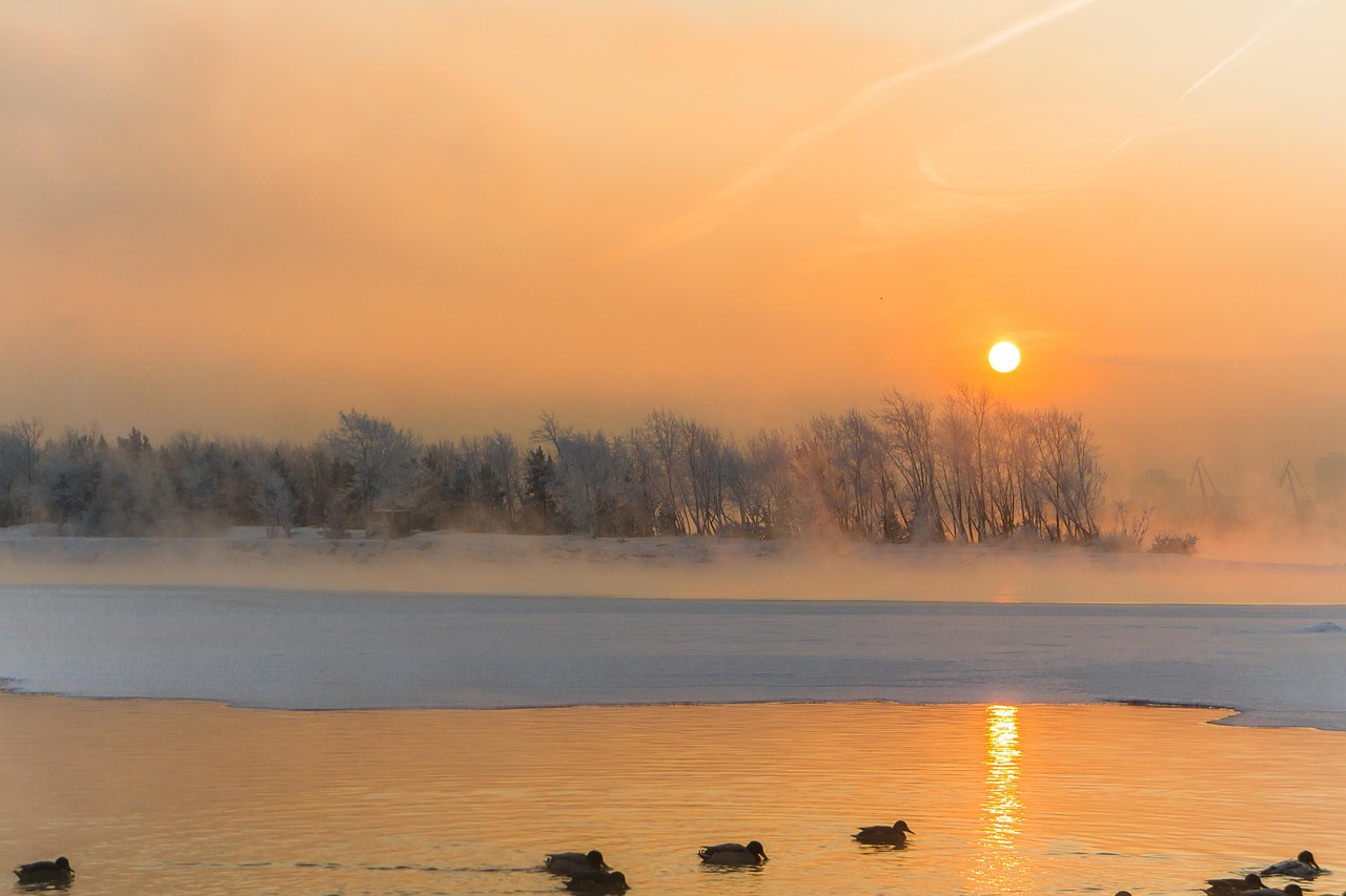 Ducks Lake Sunset - Free photo on Pixabay