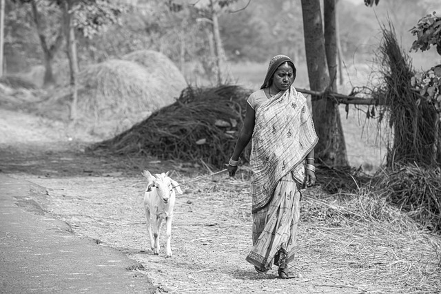 30,000+ Free India Village & India Images - Pixabay