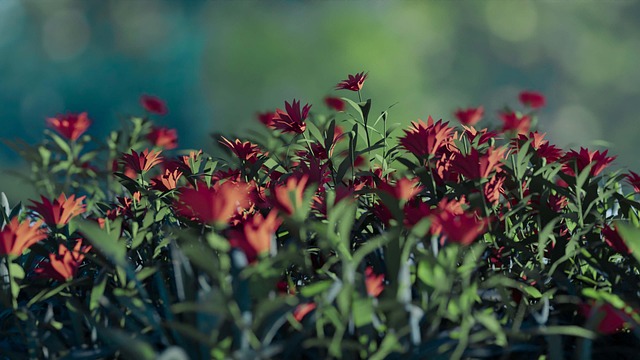 Bunga-Bunga Kebun 3D - Foto gratis di Pixabay - Pixabay