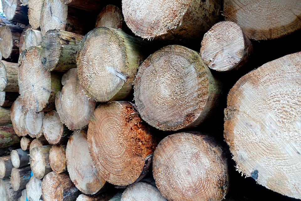 Wood Logs Forrest - Free photo on Pixabay - Pixabay