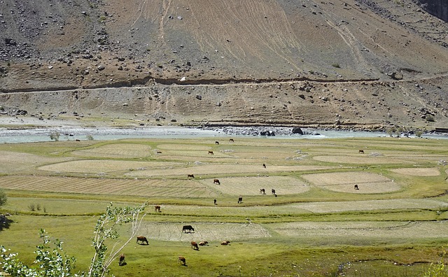 Stream River Pasture - Free photo on Pixabay - Pixabay