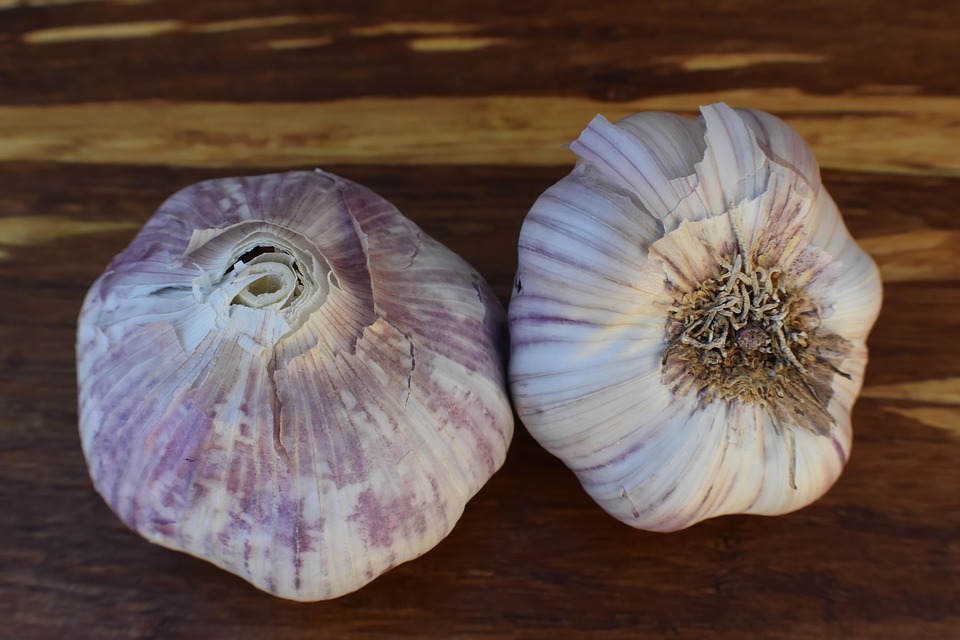 Garlic Spice Ingredient - Free photo on Pixabay - Pixabay