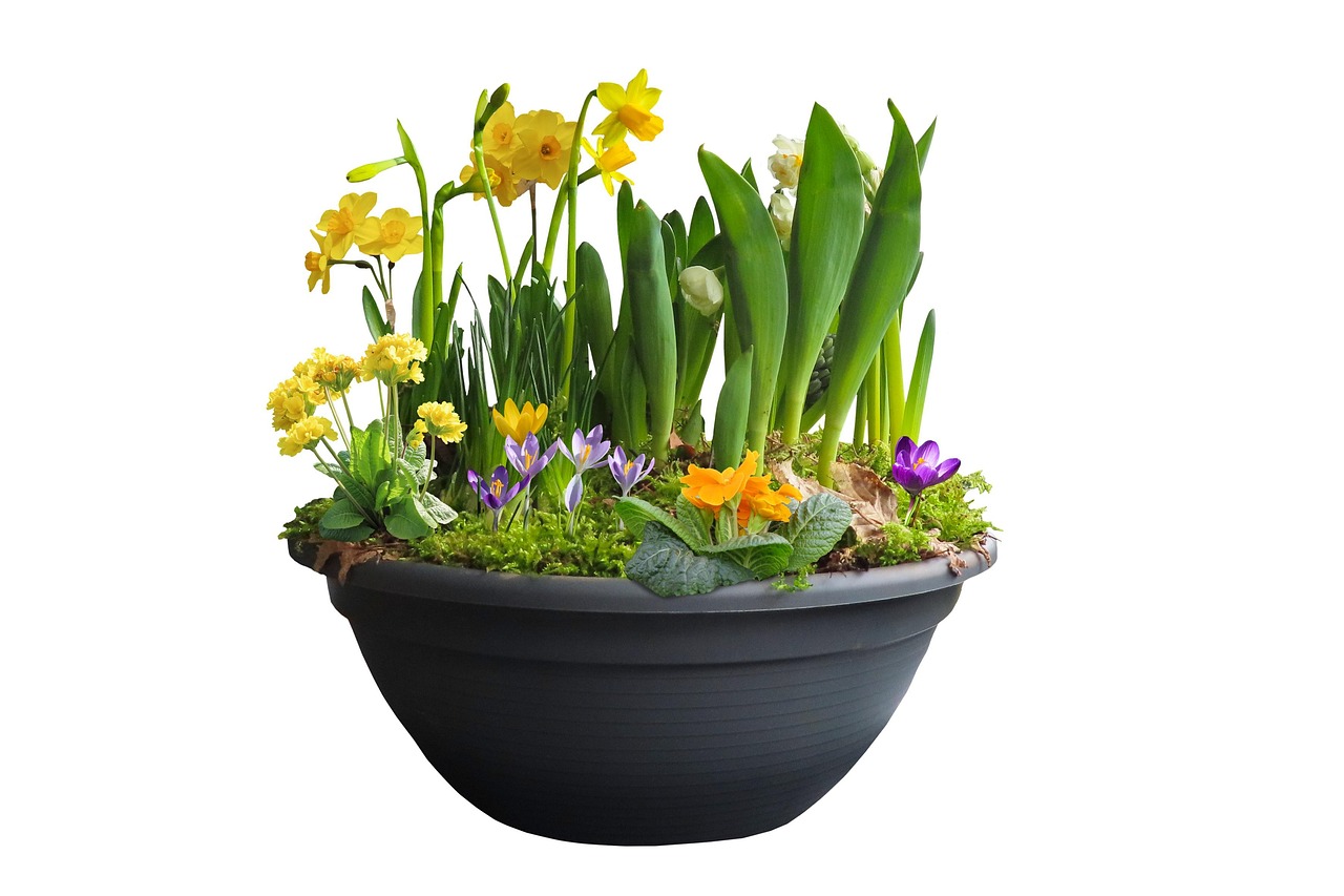 Download Flowers, Gardening, Flower Pot. Royalty-Free Stock ...