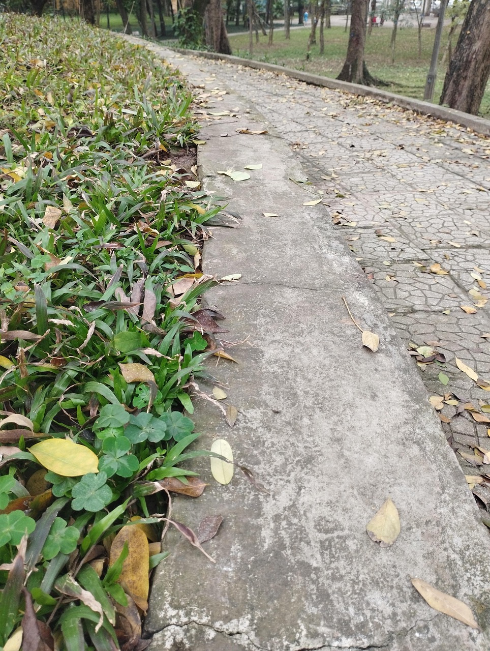 Park Tile Floor Way - Free photo on Pixabay - Pixabay