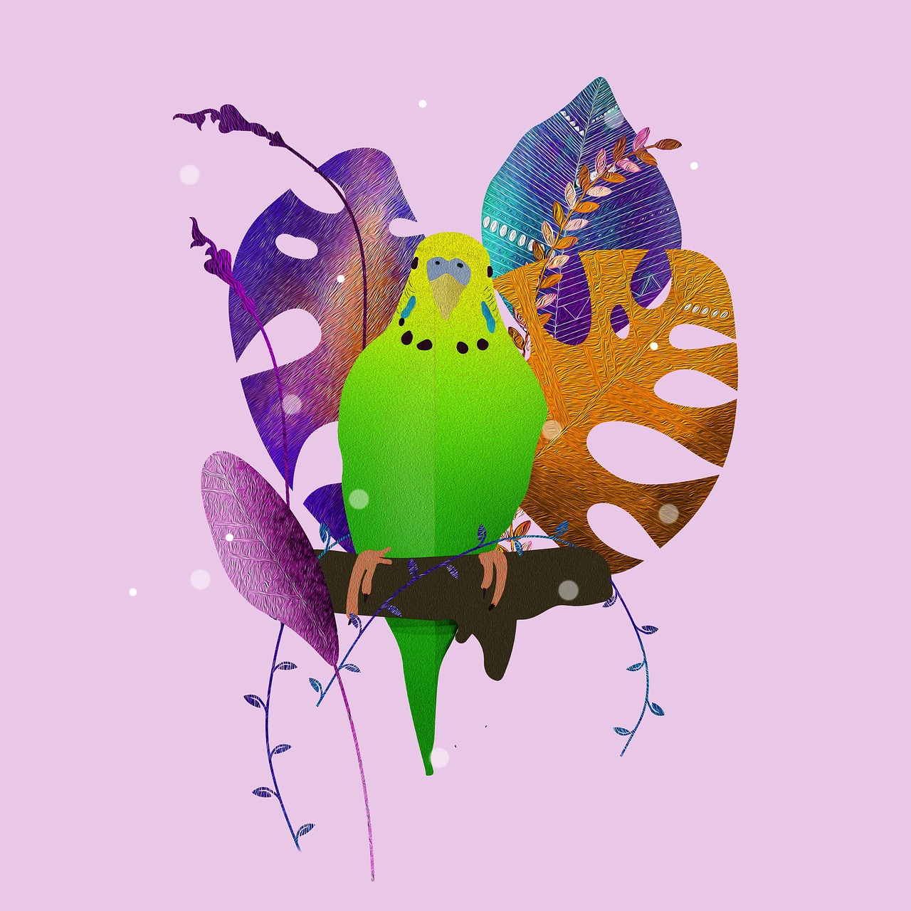 Download Parakeet, Bird, Beak. Royalty-Free Stock Illustration Image ...