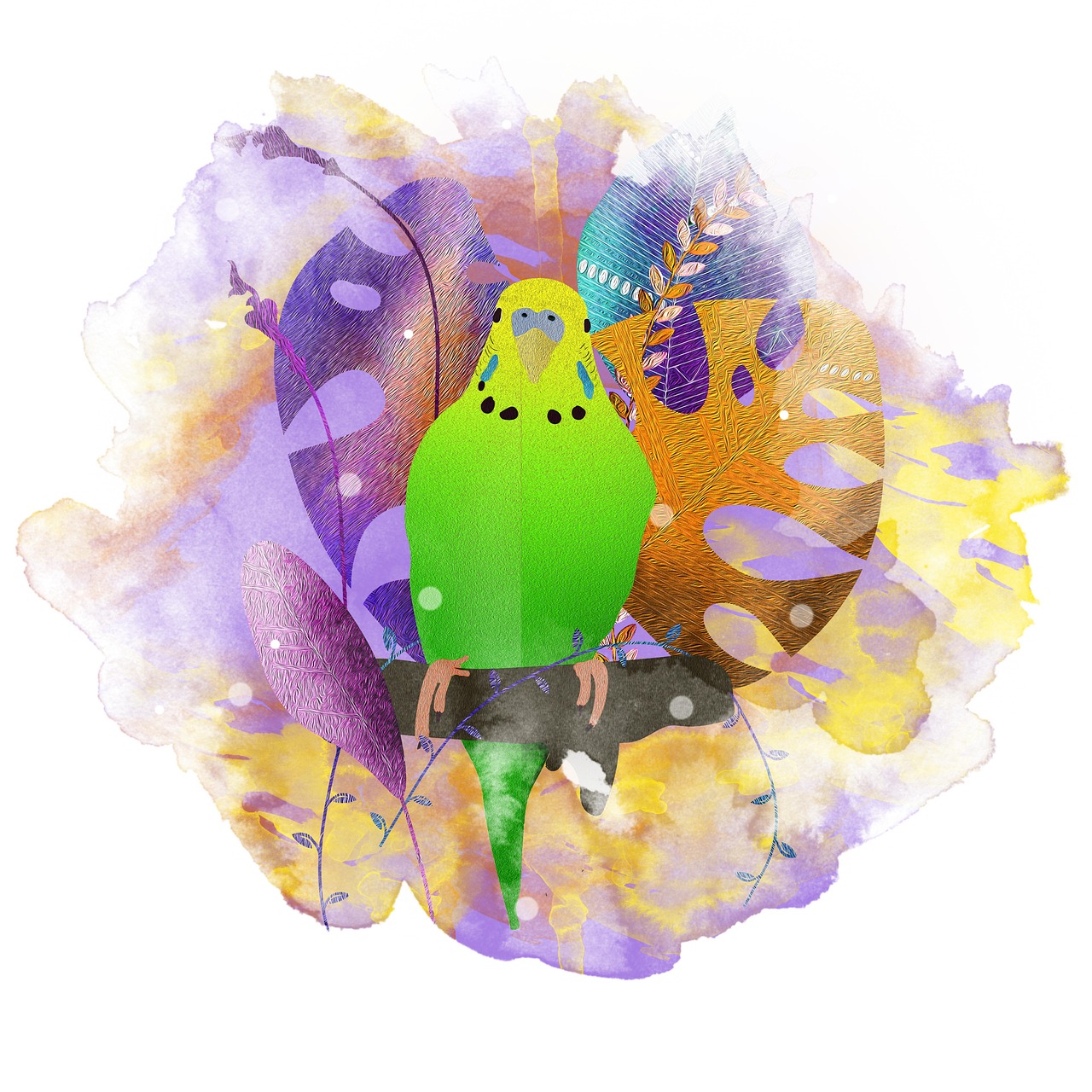Download Parakeet, Bird, Beak. Royalty-Free Stock Illustration Image ...