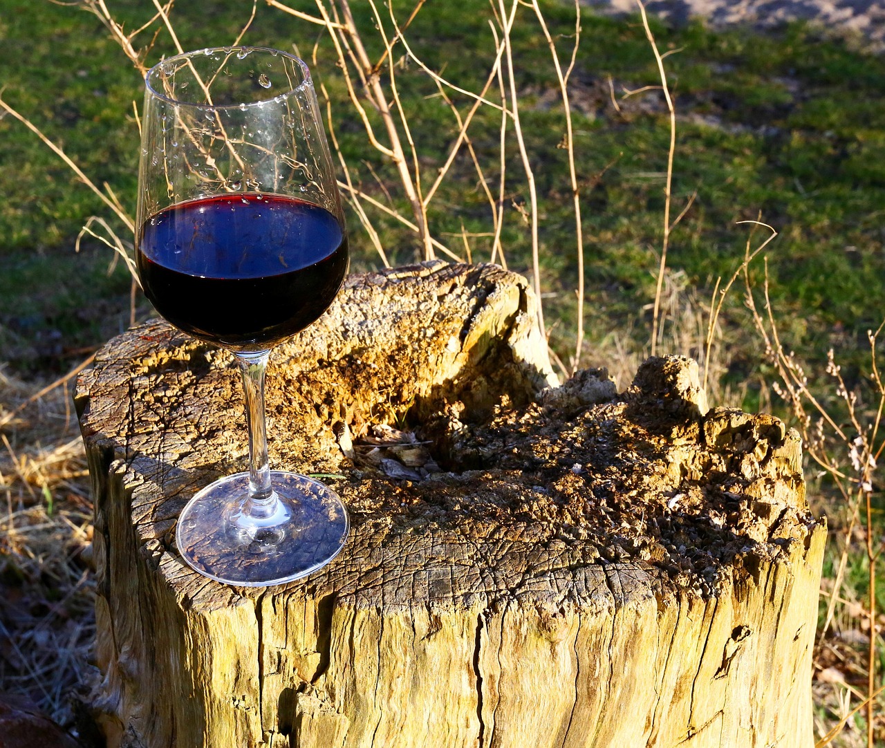 Red Wine Glass Tree Trunk - Free photo on Pixabay - Pixabay
