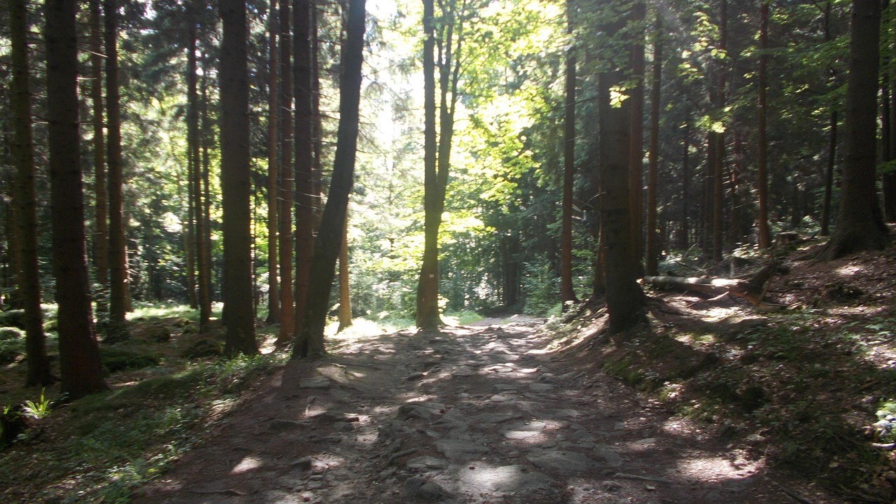 Trail To Errant Rocks Table Tops - Free photo on Pixabay - Pixabay