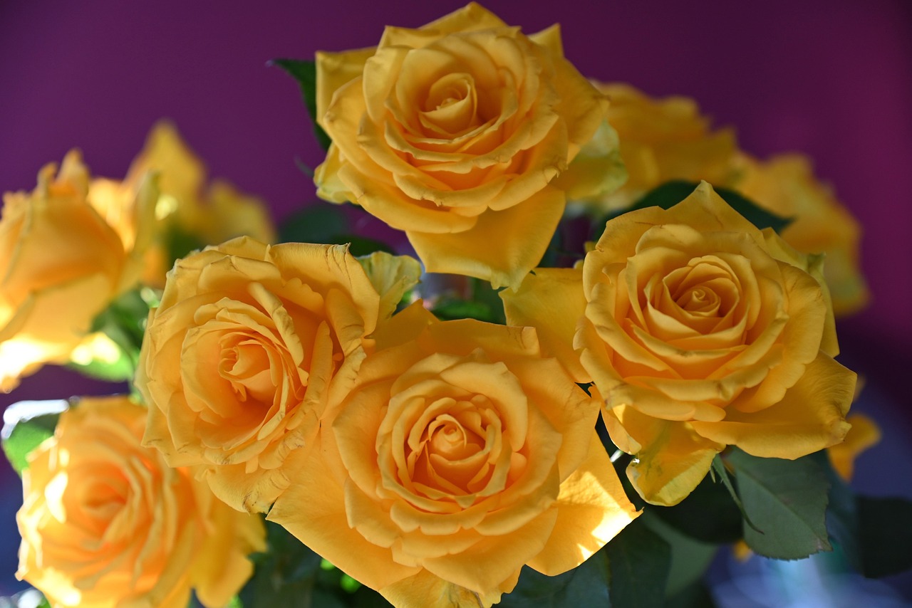 Bouquet Of Roses Orange Yellow - Free photo on Pixabay - Pixabay