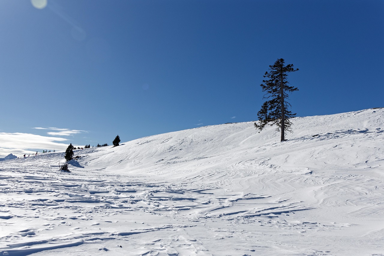 Heaven Winter Snow - Free photo on Pixabay