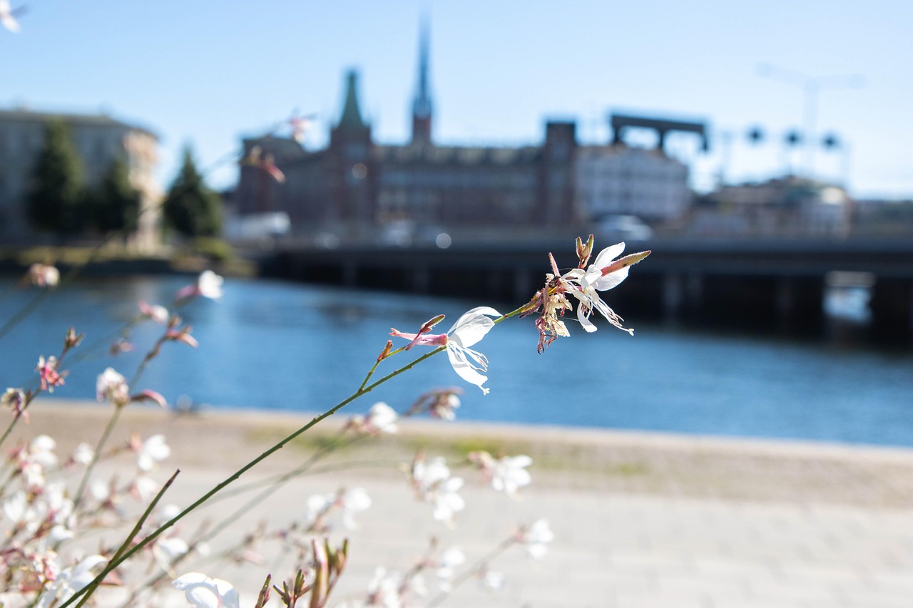 Stockholm Swedia Air - Foto gratis di Pixabay - Pixabay