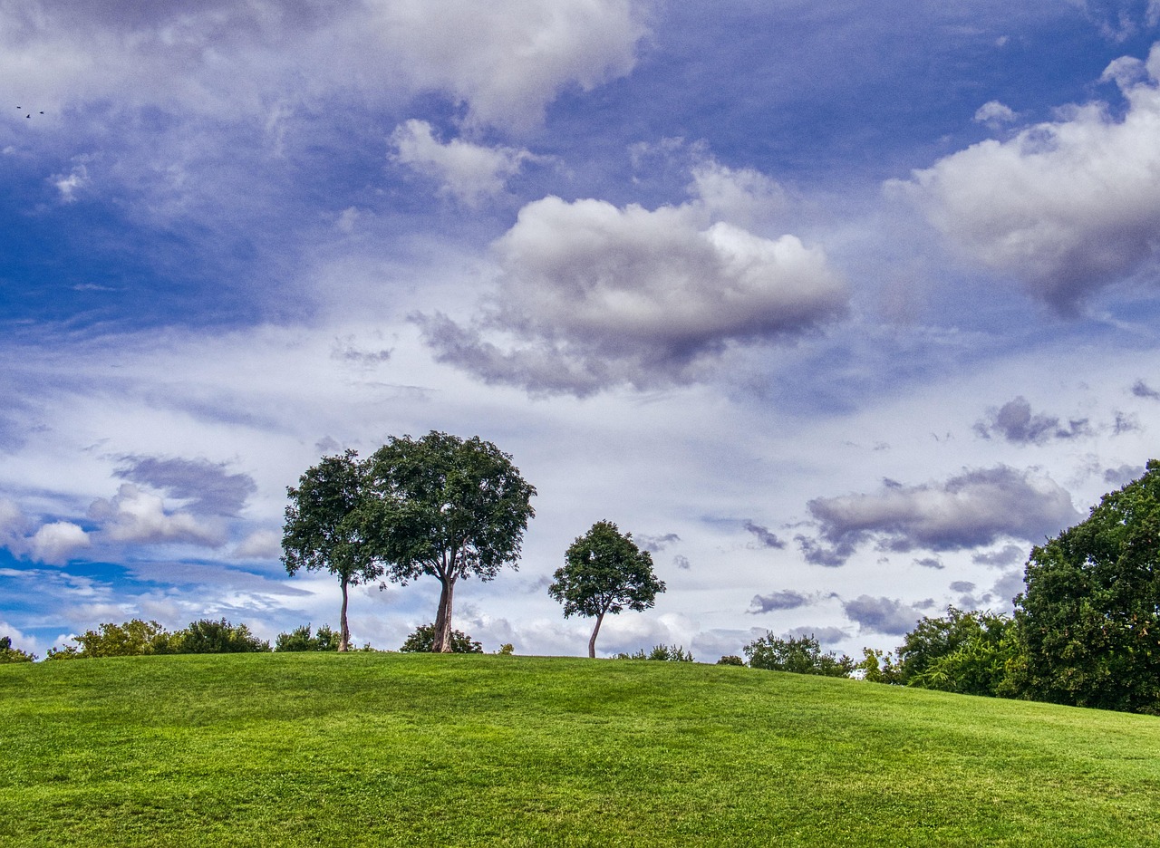 Paysage Nature Meadow - Photo gratuite sur Pixabay - Pixabay
