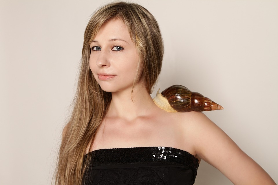 Woman Snail Shell Long - Free photo on Pixabay