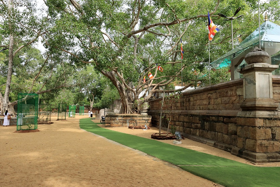Jaya Sri Maha Bodhiya - Free photo on Pixabay