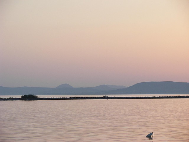 Hongrie Nature Lac - Photo gratuite sur Pixabay