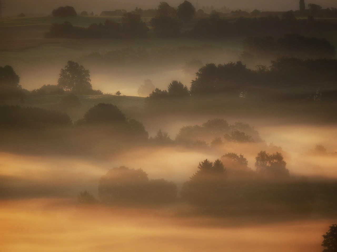 Natur Morgen Nebel - Kostenloses Foto auf Pixabay - Pixabay