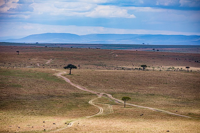 Grassland Savannah Nature Reserve - Free photo on Pixabay
