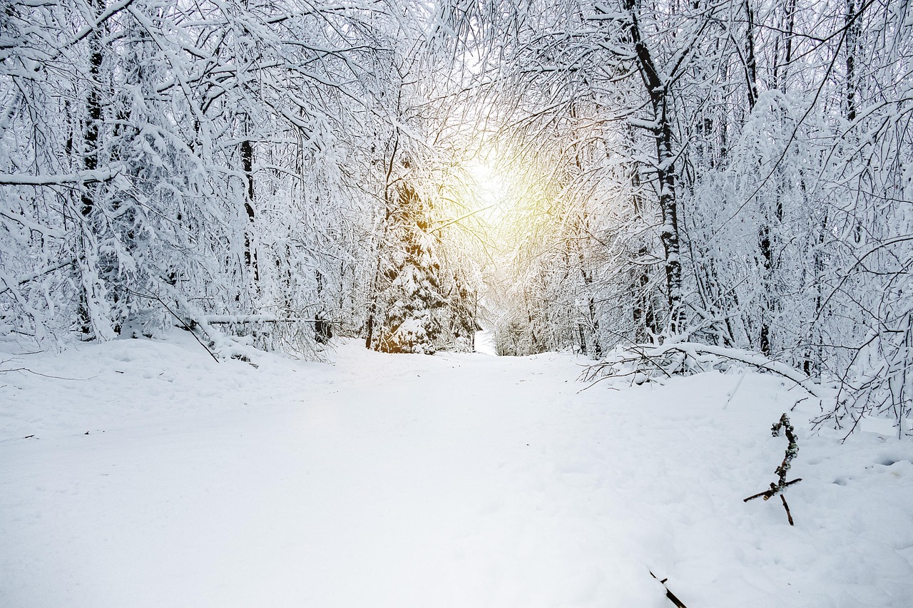 Winter Schnee Landschaft - Kostenloses Foto auf Pixabay - Pixabay