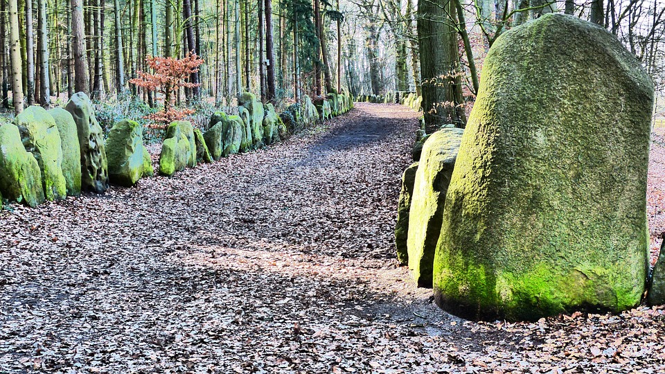 Sachsenhain Vert - Photo gratuite sur Pixabay - Pixabay