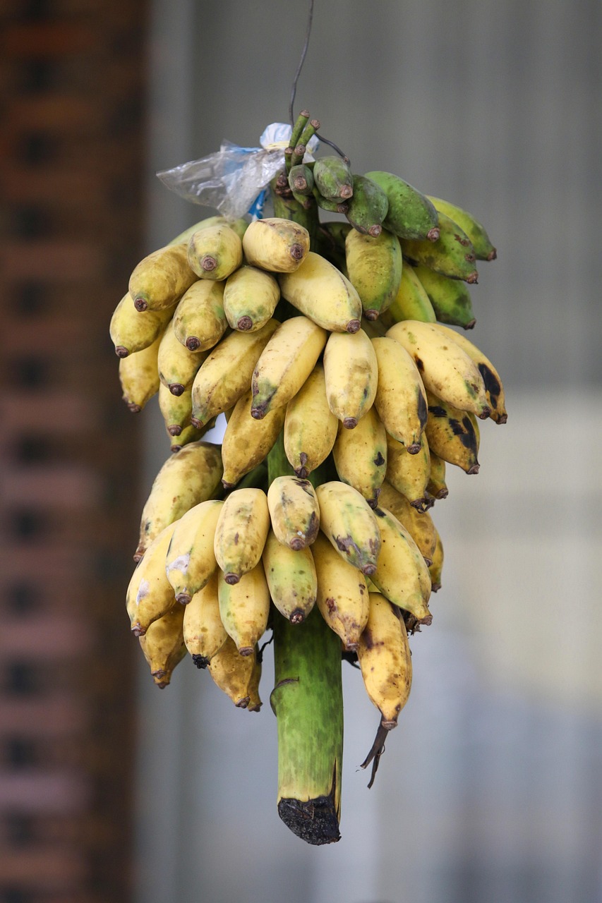 Siamese Bananas Ripe Fruit - Free photo on Pixabay