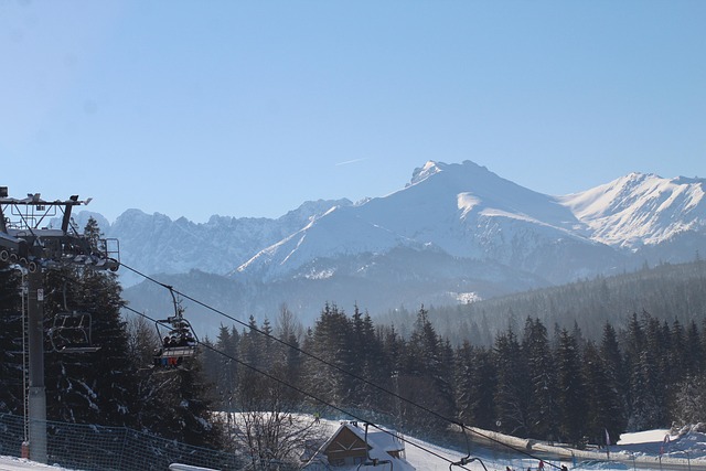Havran Tatry Jurgów - Free photo on Pixabay - Pixabay
