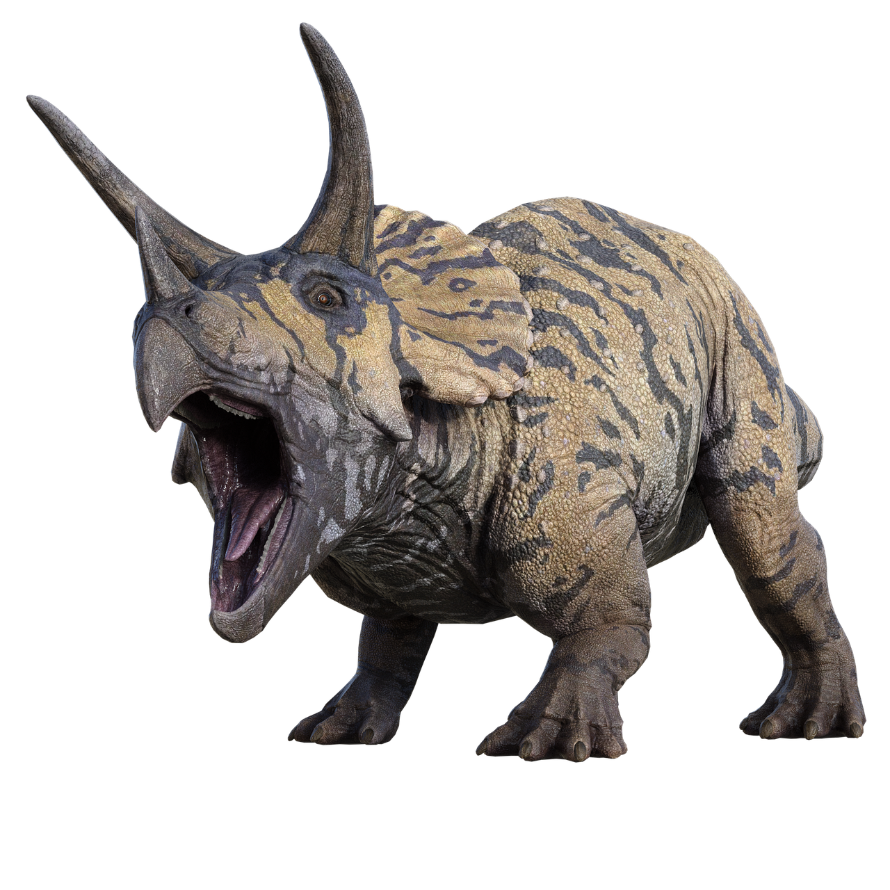 Triceratops Dinosaurie Gratis Bilder P Pixabay Pixabay Triceratops Dinosaurie Gratis Bilder P Pixabay Pixabay