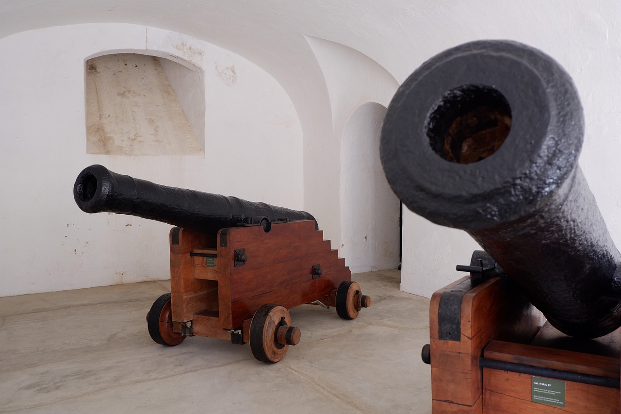 Big Canon Firepower - Free photo on Pixabay - Pixabay