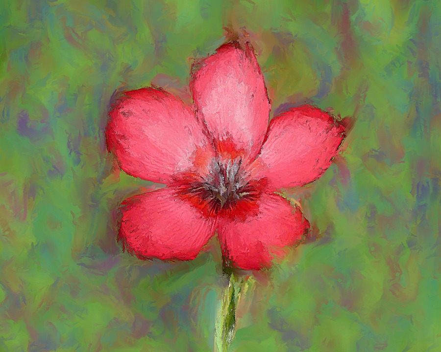 Flowers Blossom Art - Free image on Pixabay