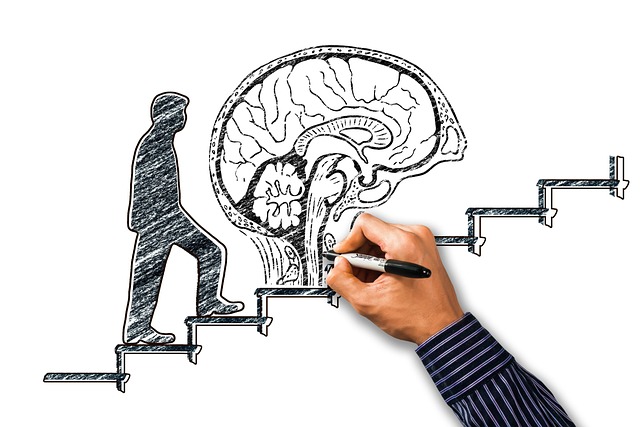 Cerveau Entraînement Silhouette - Image gratuite sur Pixabay