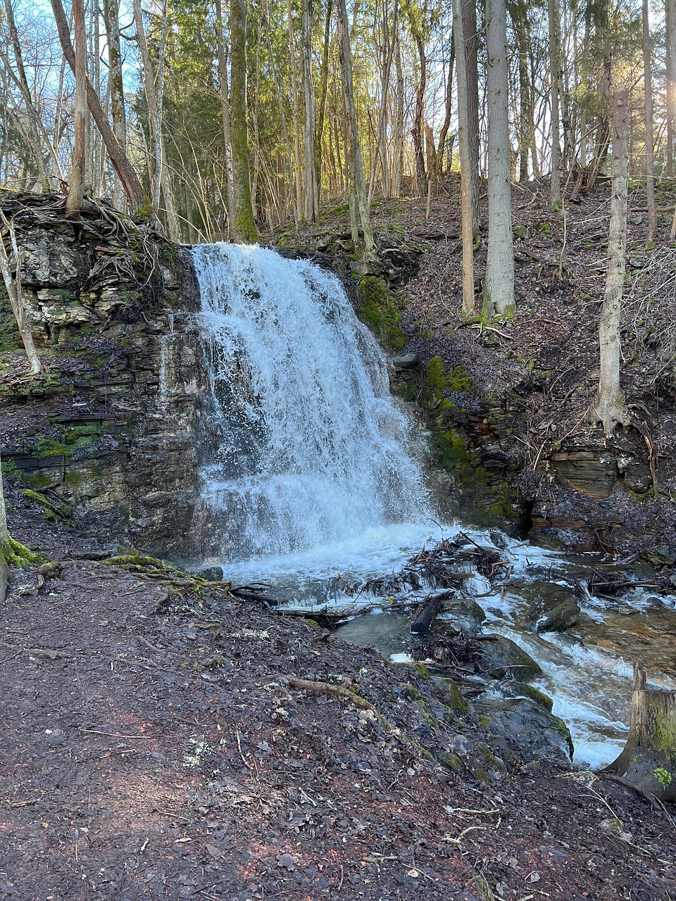 Waterfall Rapids Spring - Free photo on Pixabay - Pixabay