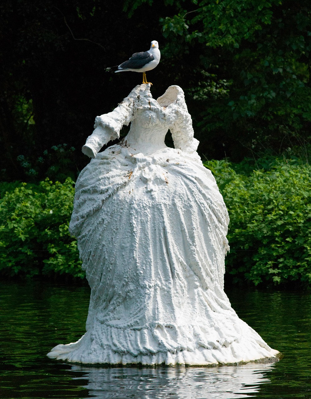 Humor Seagull Lady - Free photo on Pixabay - Pixabay