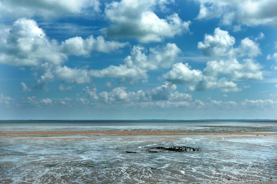 Sea Beach Water - Free photo on Pixabay