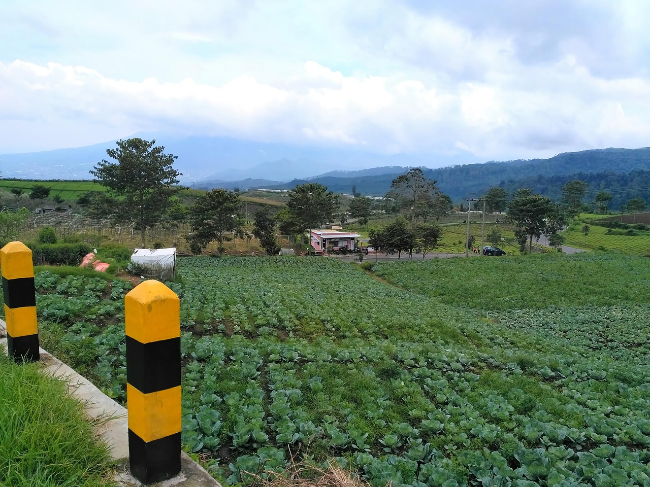 Sayur-Mayur Pedesaan - Foto gratis di Pixabay - Pixabay