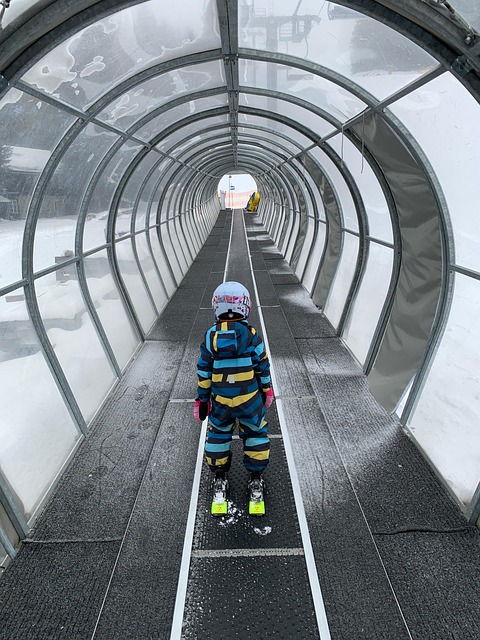 Skiing Ski Lift Magic Carpet - Free photo on Pixabay - Pixabay