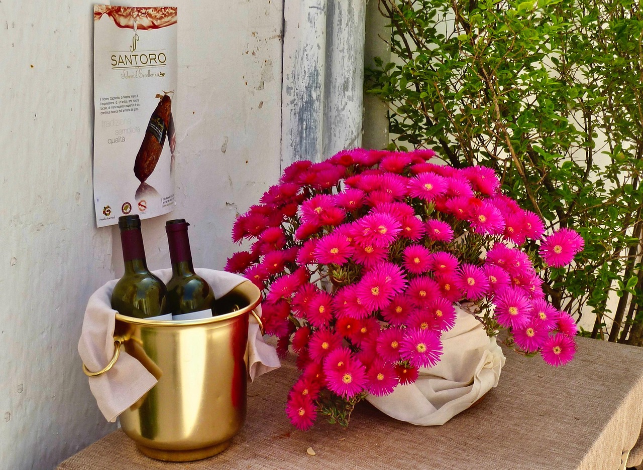 Wine Blossom Flowers - Free photo on Pixabay