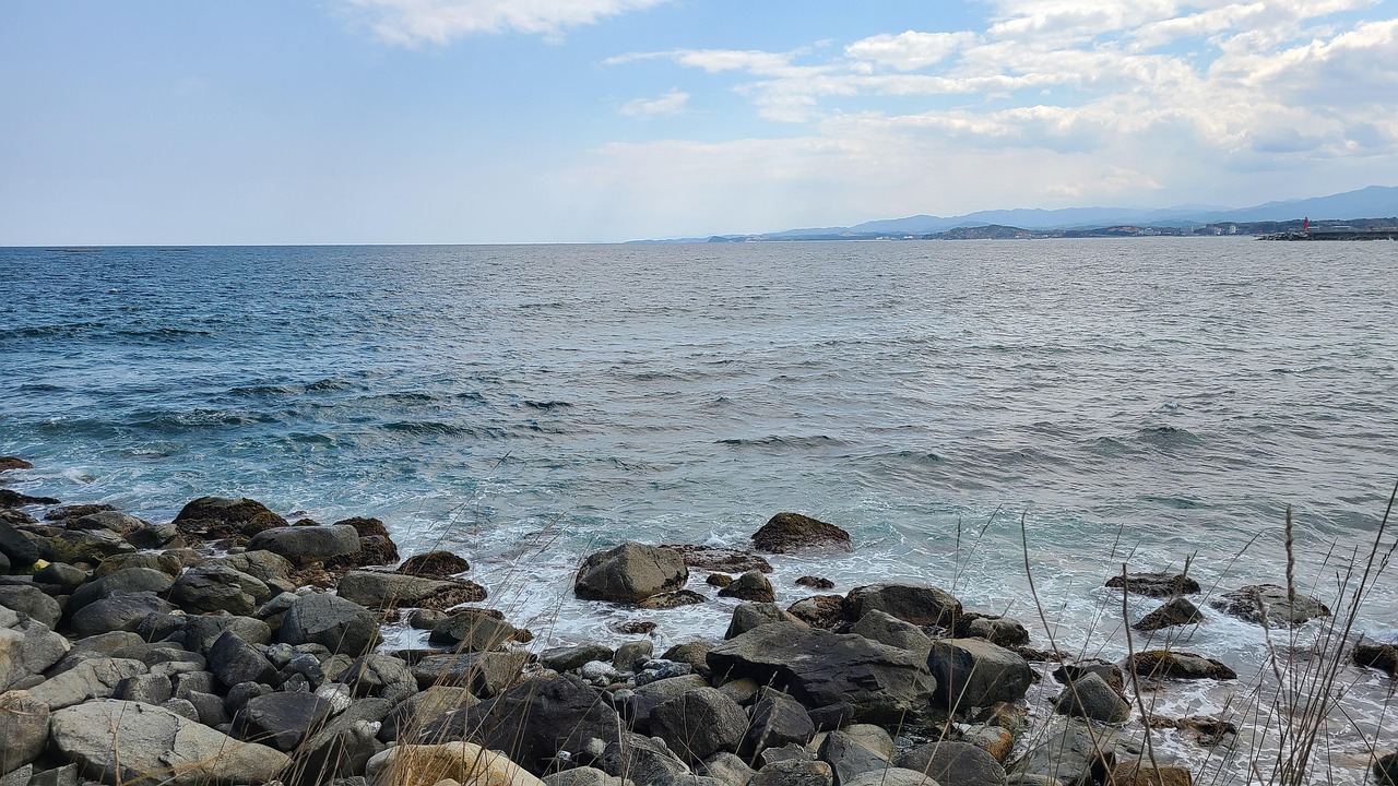 Winter Ocean Republic Of Korea - Free photo on Pixabay - Pixabay
