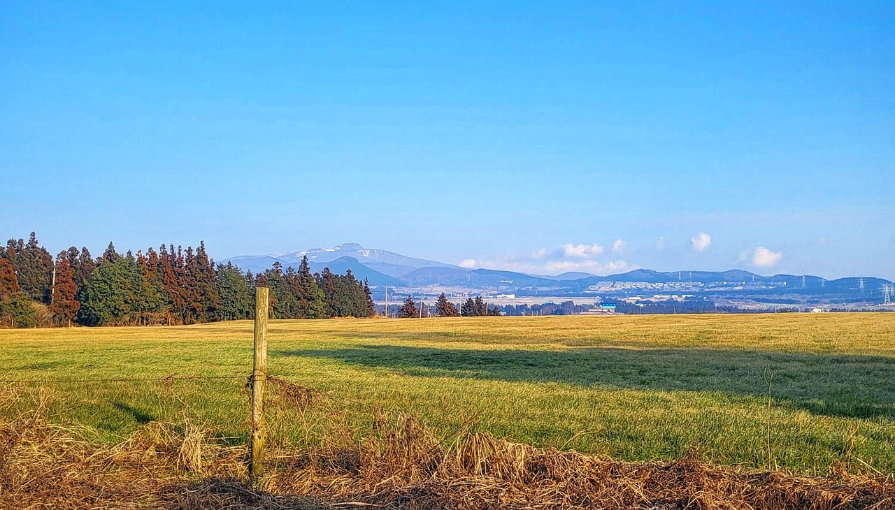 Landscape Nature Field - Free photo on Pixabay - Pixabay