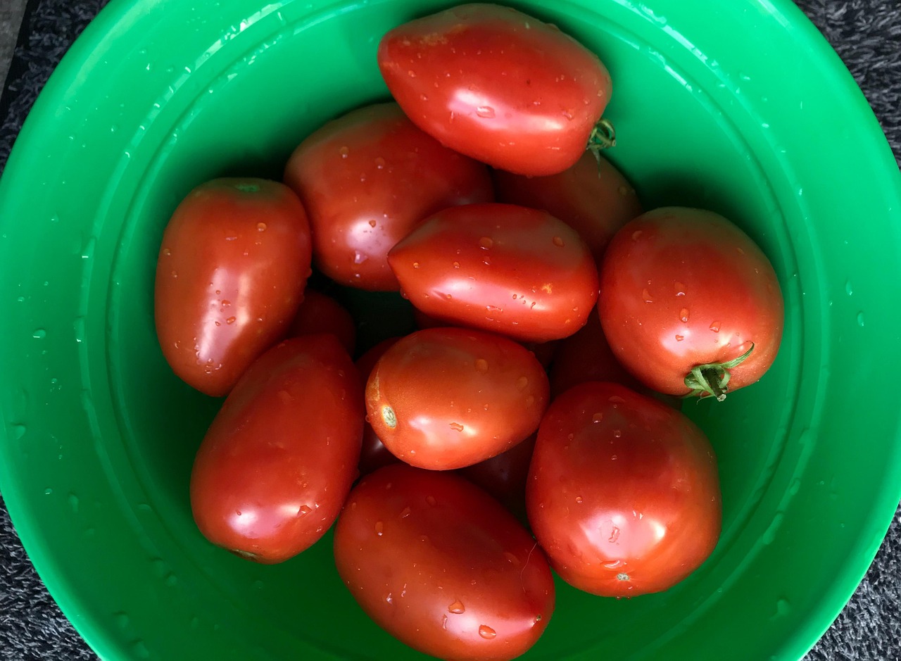 Tomatoes Harvest Red - Free photo on Pixabay - Pixabay