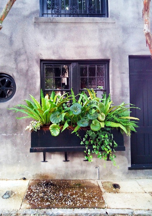 Charleston L'Architecture Fleurs - Photo gratuite sur Pixabay - Pixabay