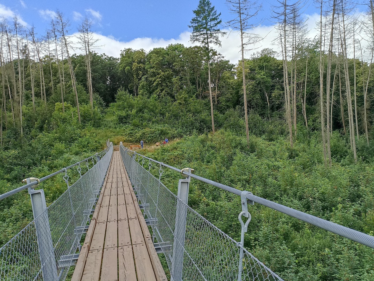 Jembatan Gantung Menjembatani 180M - Foto gratis di Pixabay - Pixabay