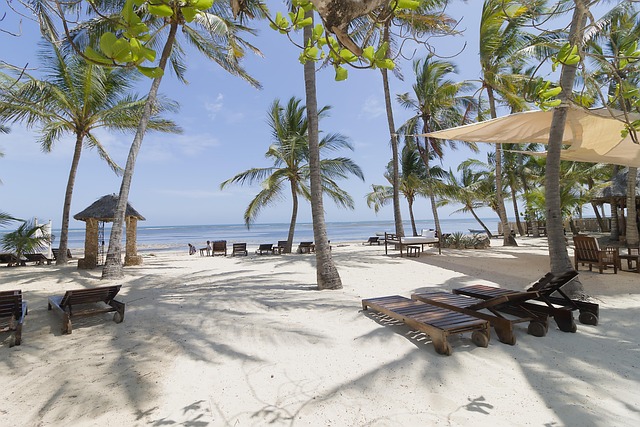 Strand Solbadestrand Kenya Balmen - Gratis foto på Pixabay - Pixabay