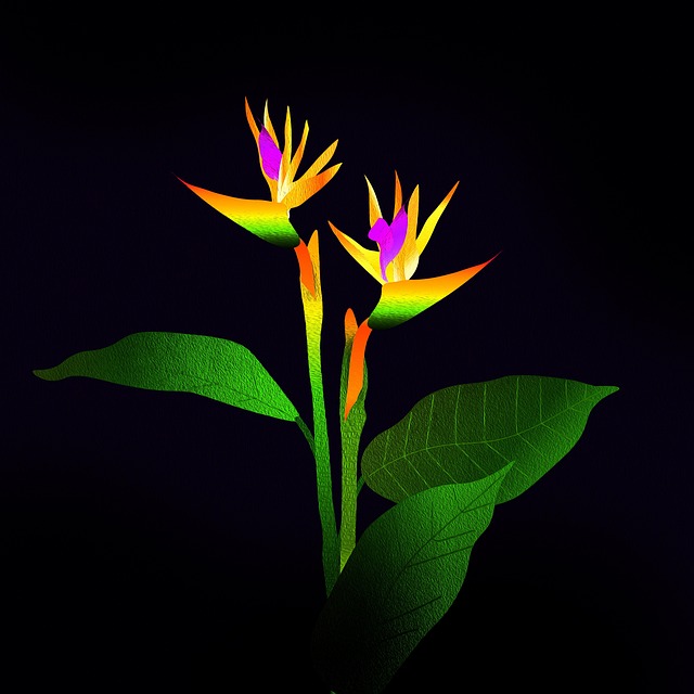 Download Bird Of Paradise, Flowers, Bloom. Royalty-Free Stock ...