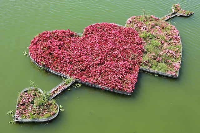 Cinta Hati Panah Kebun Bunga Dan - Foto gratis di Pixabay - Pixabay