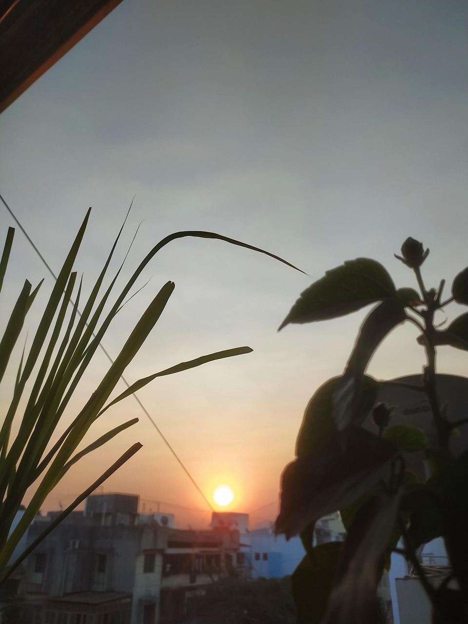 Sun Morning Sunrise Early - Free photo on Pixabay - Pixabay