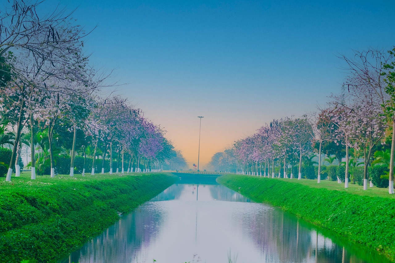 Lake With Two Rows Of Trees - Free photo on Pixabay - Pixabay