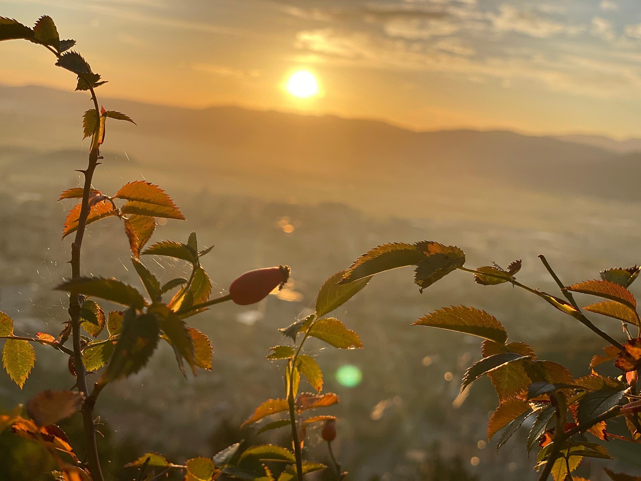 Lever Du Soleil Nature Paysage - Photo gratuite sur Pixabay - Pixabay